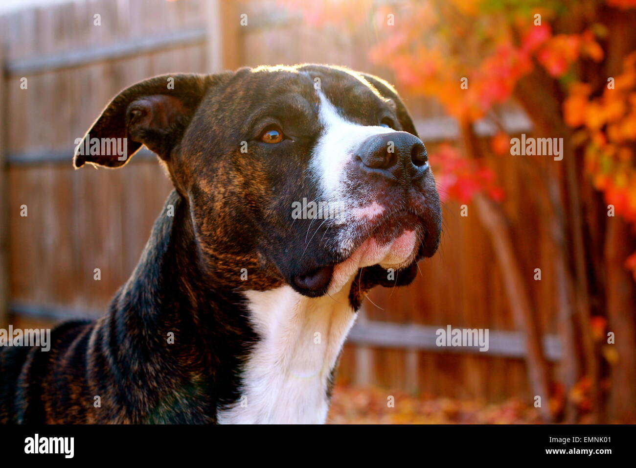 A warm fall day Stock Photo - Alamy