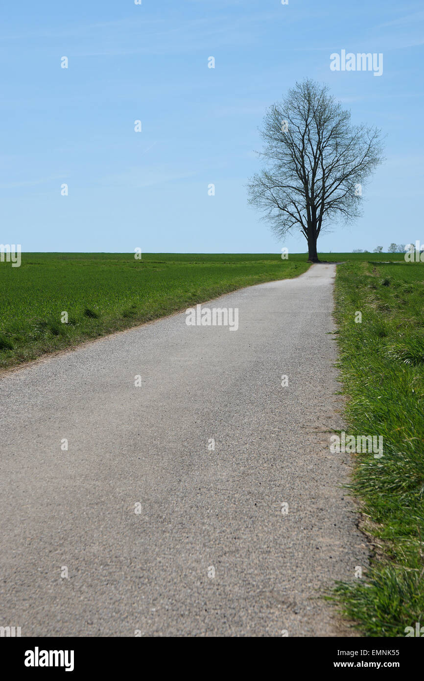 Dirt path trail hi-res stock photography and images - Alamy