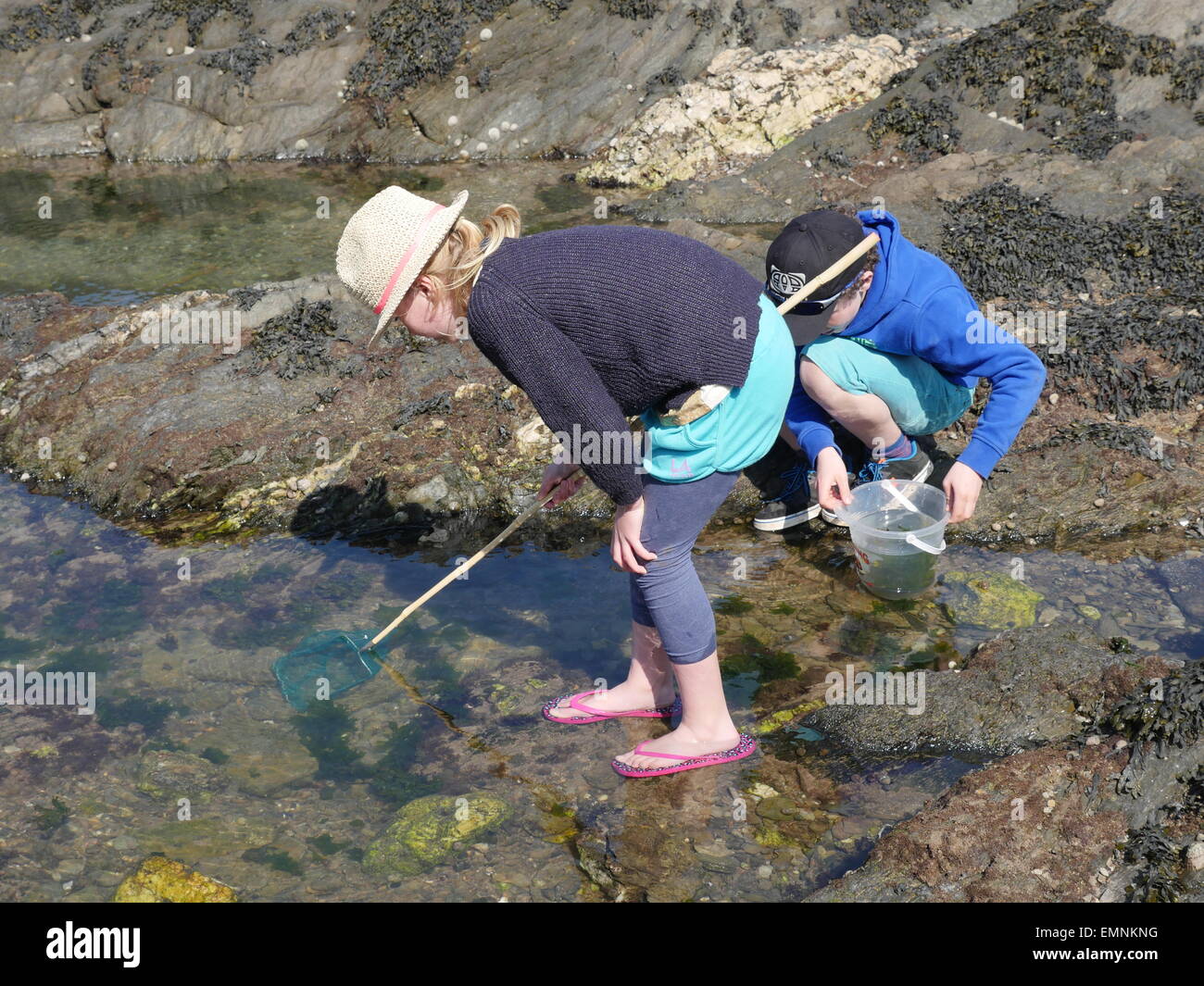 Children rockpooling on Burgh Island bear Bigbuy. Devon UK Stock Photo ...