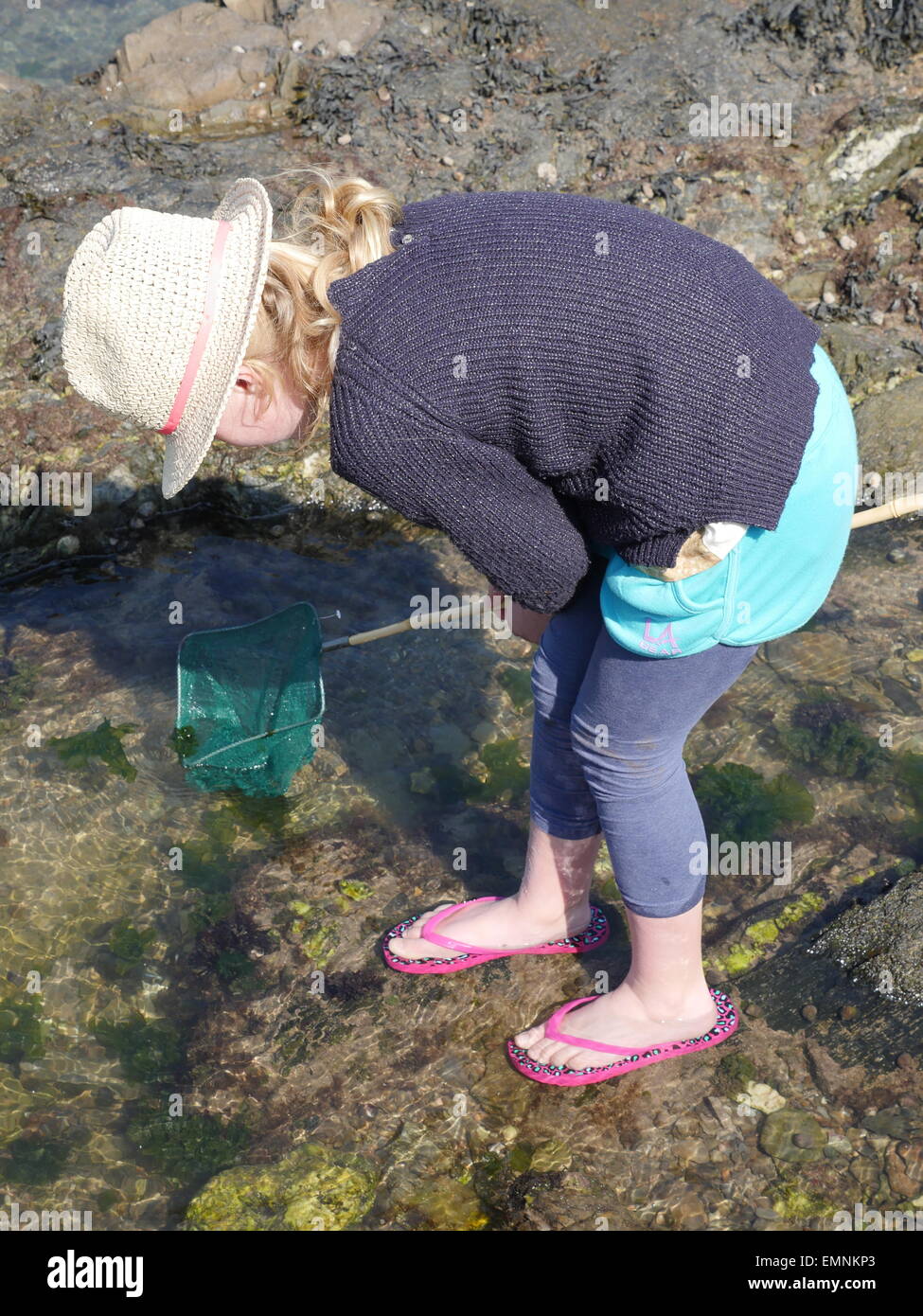 Children rockpooling hi-res stock photography and images - Alamy