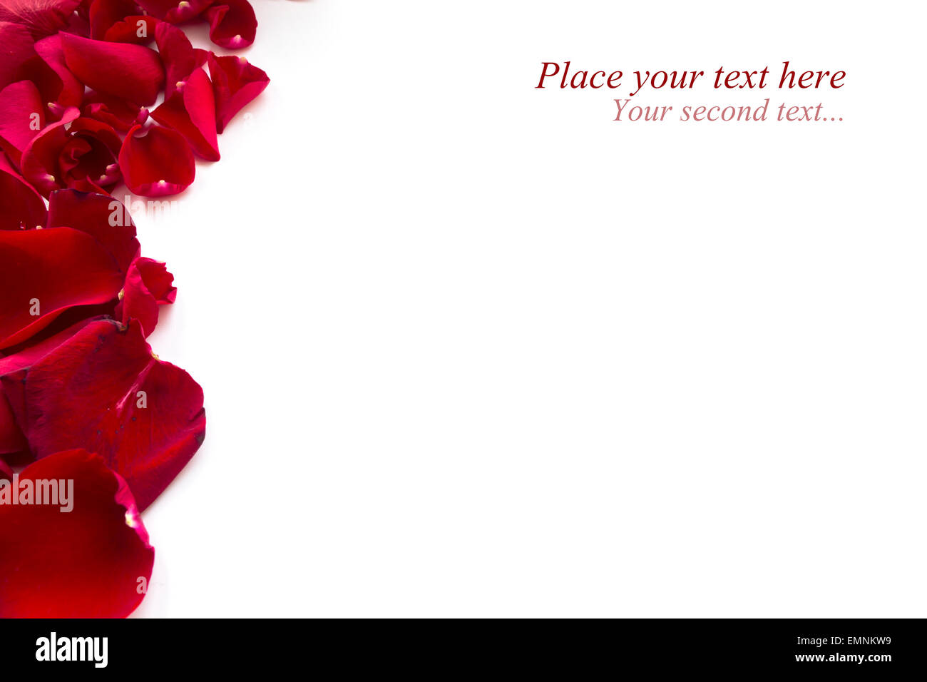 Rose Petals Border Stock Photo - Alamy