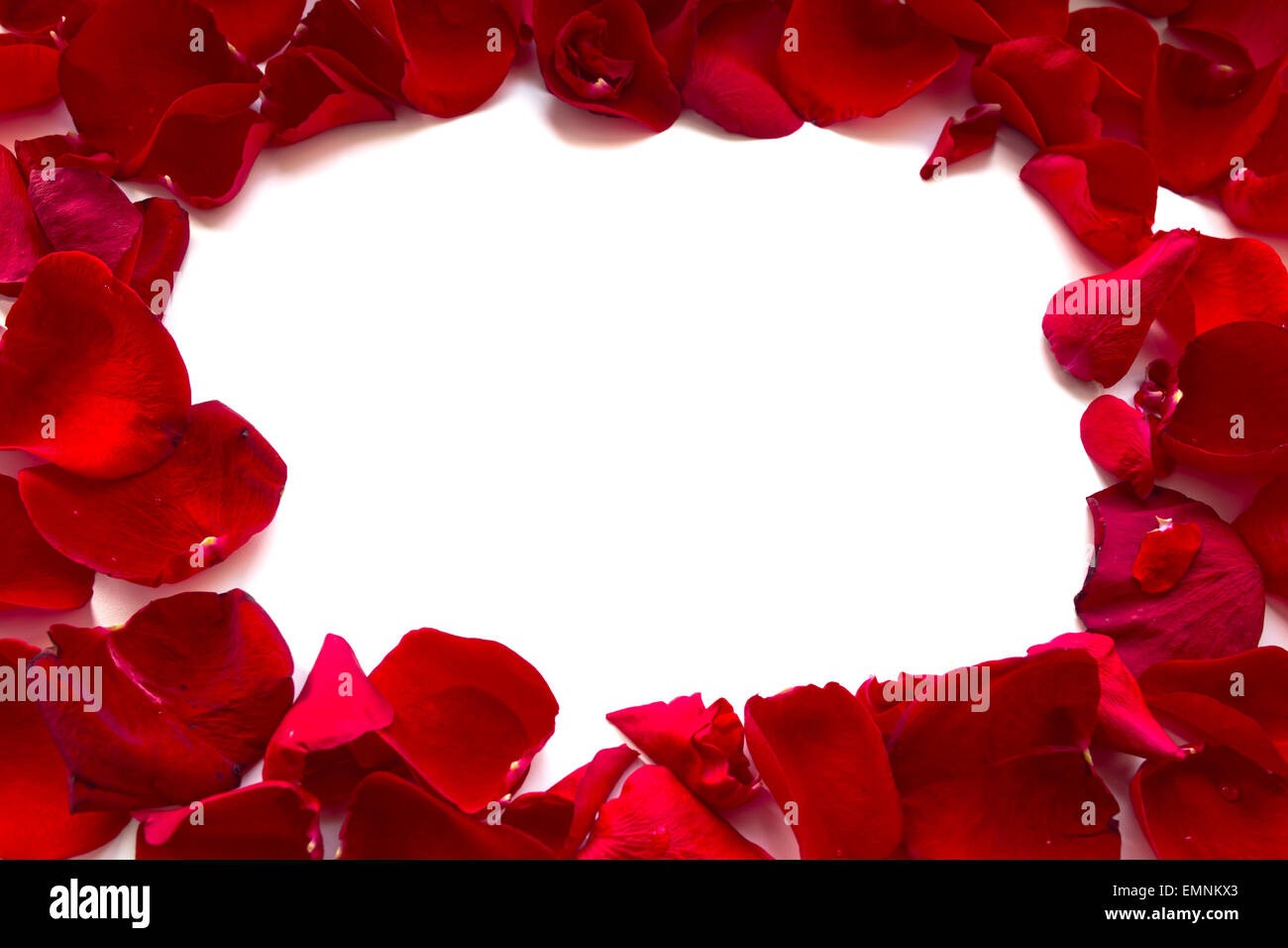 Frame made of Rose Petals Stock Photo - Alamy