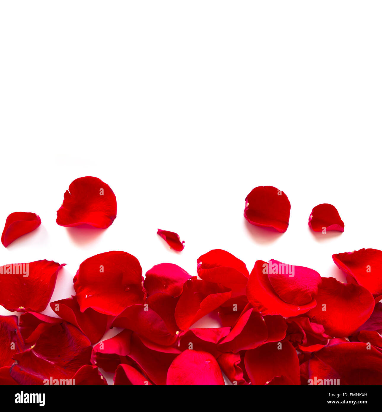 Rose Petals Border Stock Photo - Alamy
