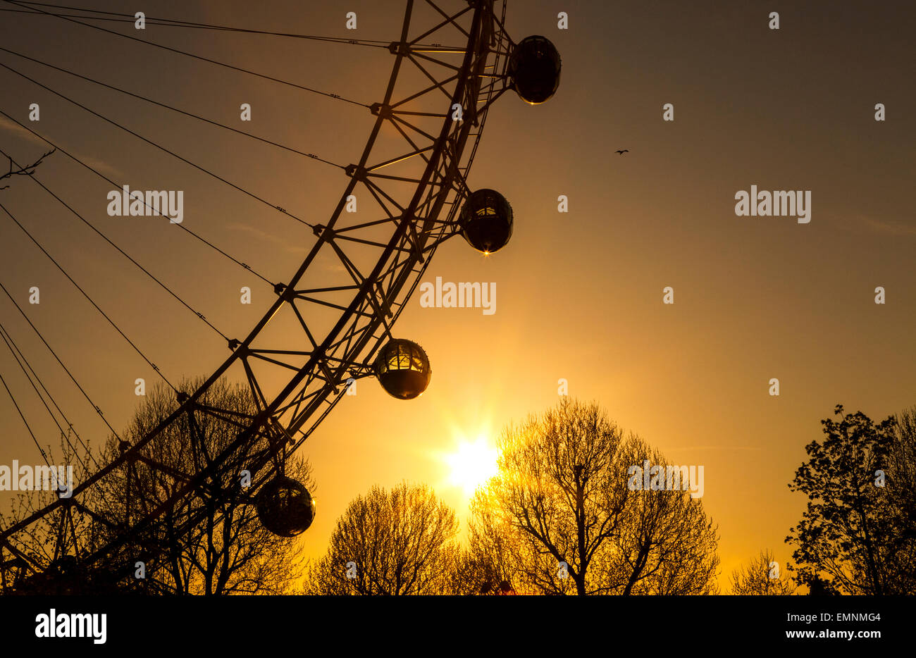 A view of the London Eye at Sunset Stock Photo - Alamy
