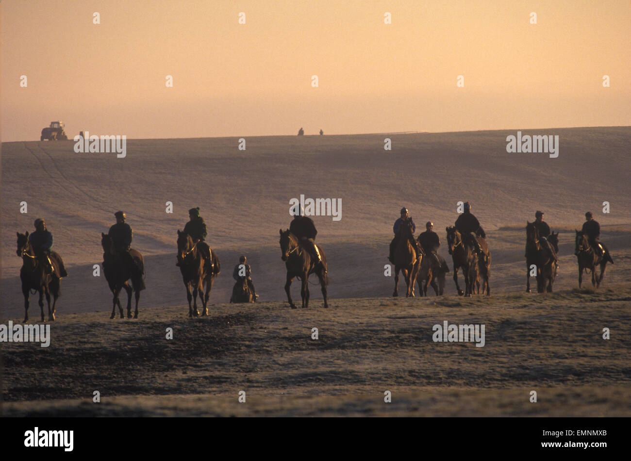 Gallops uk hi-res stock photography and images - Alamy