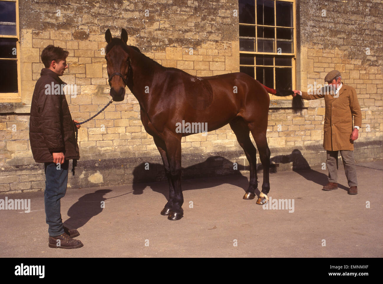 Brian Higham long serving Stud Groom at The Duke of Beaufort Badminton ...