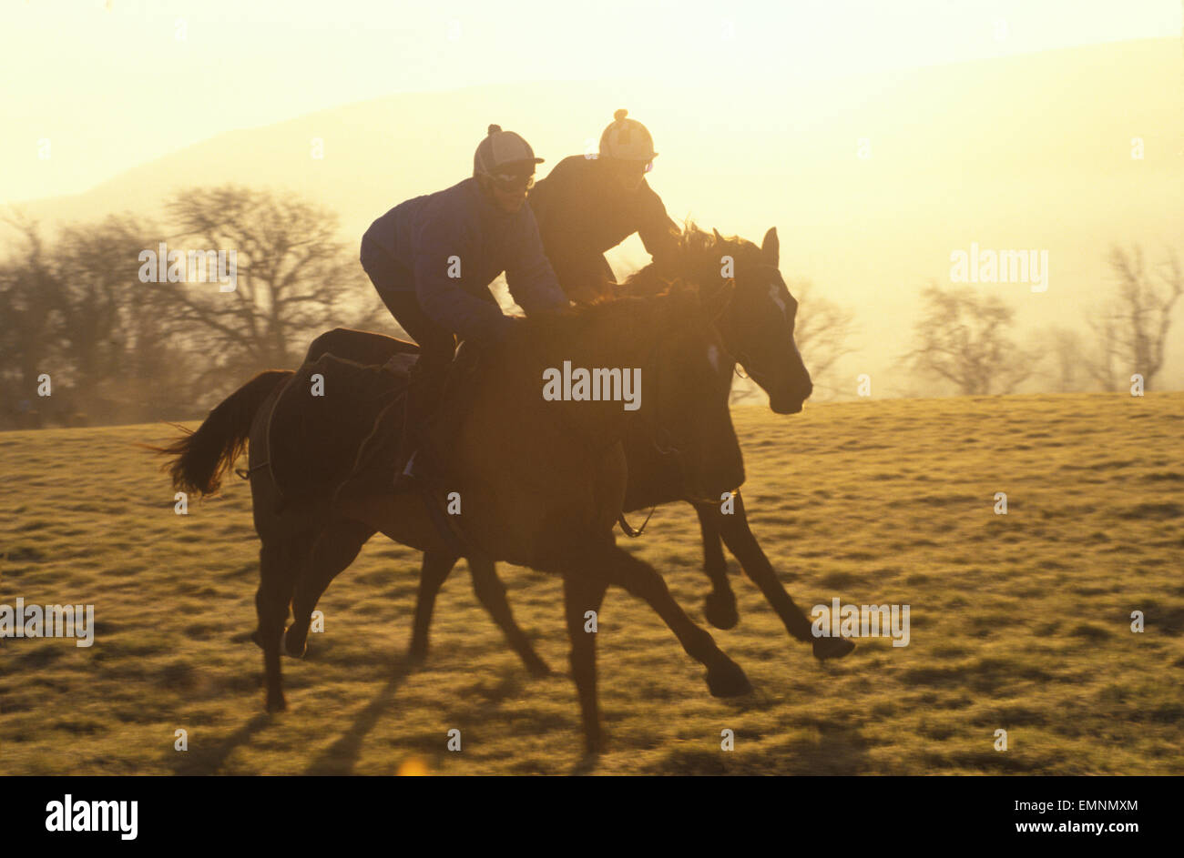 Racehorses hi-res stock photography and images - Alamy