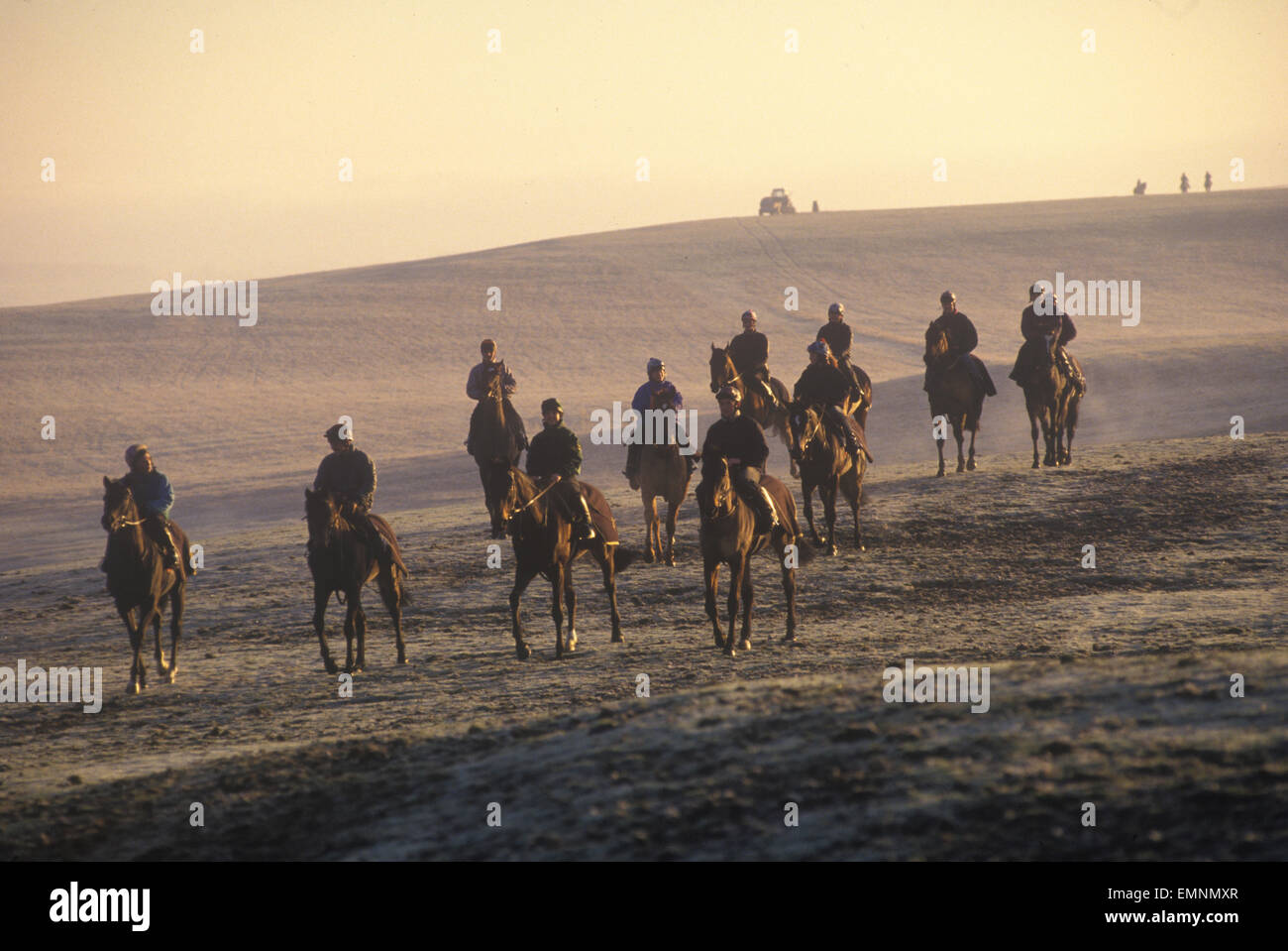 Training on the gallops hi-res stock photography and images - Alamy