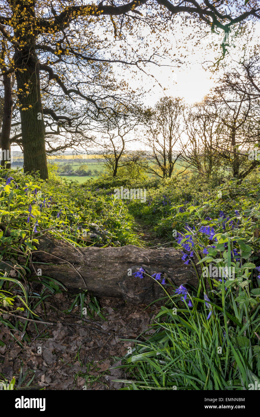 English country landscape hi-res stock photography and images - Alamy