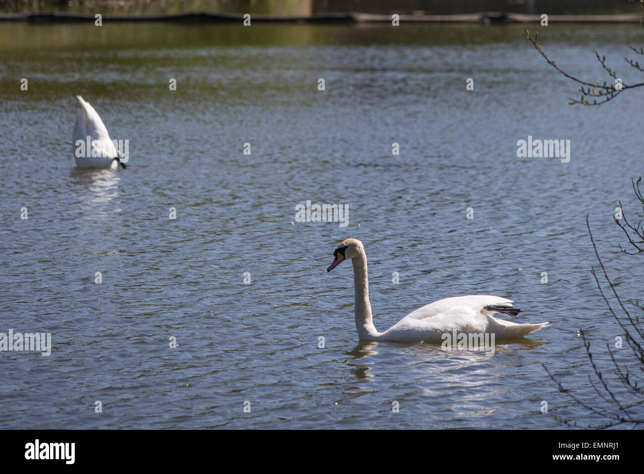 Section of protected land hi-res stock photography and images - Alamy