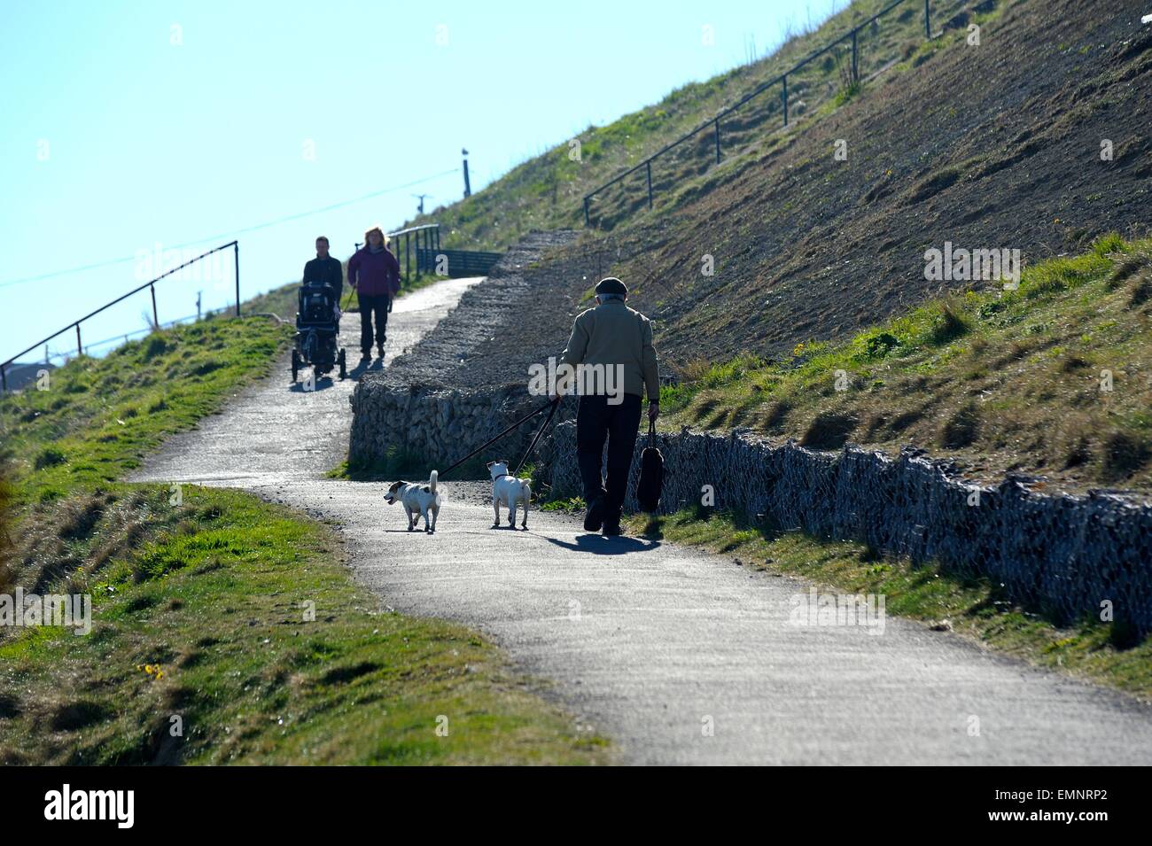 An old man walking his two dogs up the steeps paths from the beach in ...