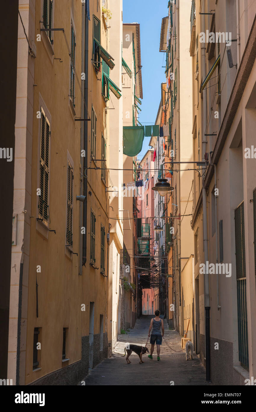 Genoa street old town alley, view of a typical narrow street in the ...