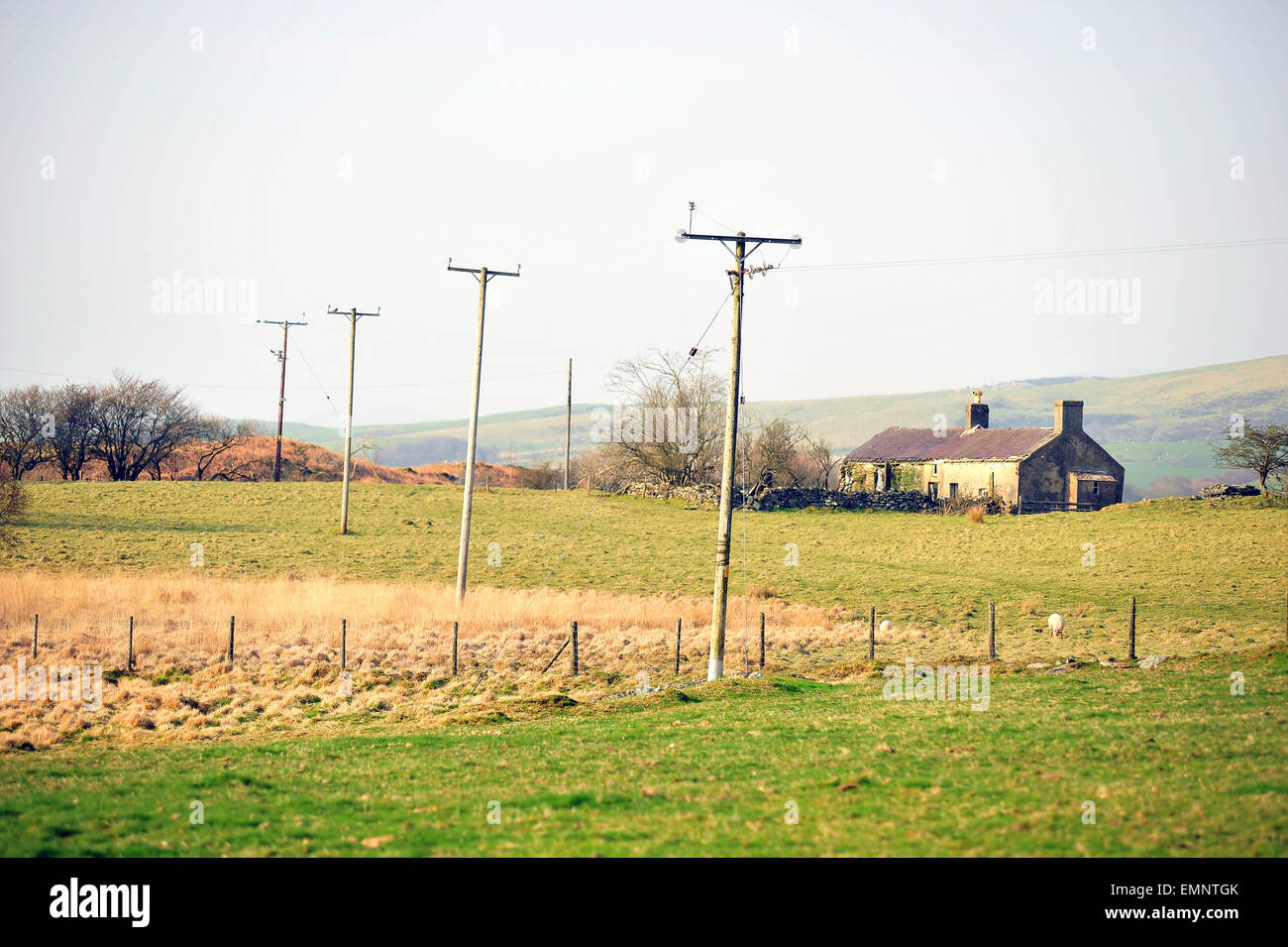 A line of utility poles running through the countryside in Mid Wales ...