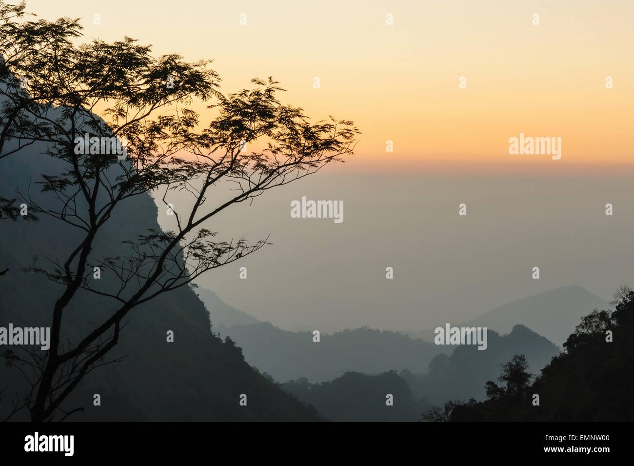 Misty sunset dawn with sunrays over the rain forest, Thailand Stock ...