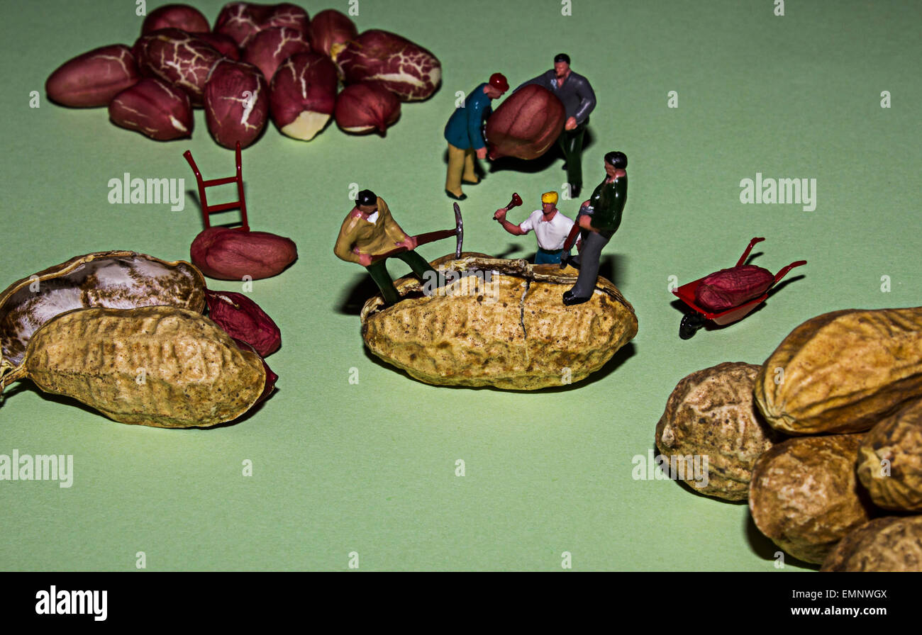 Collecting peanuts hi-res stock photography and images - Alamy