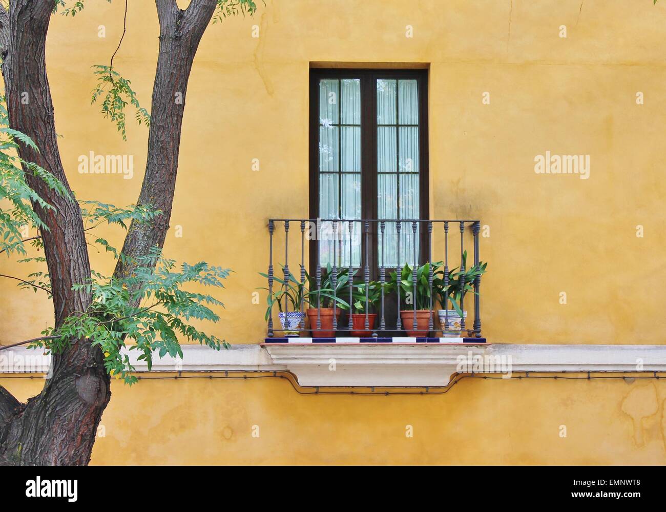 Spanish window tree traditional yellow/terracotta house balcony Spain ...
