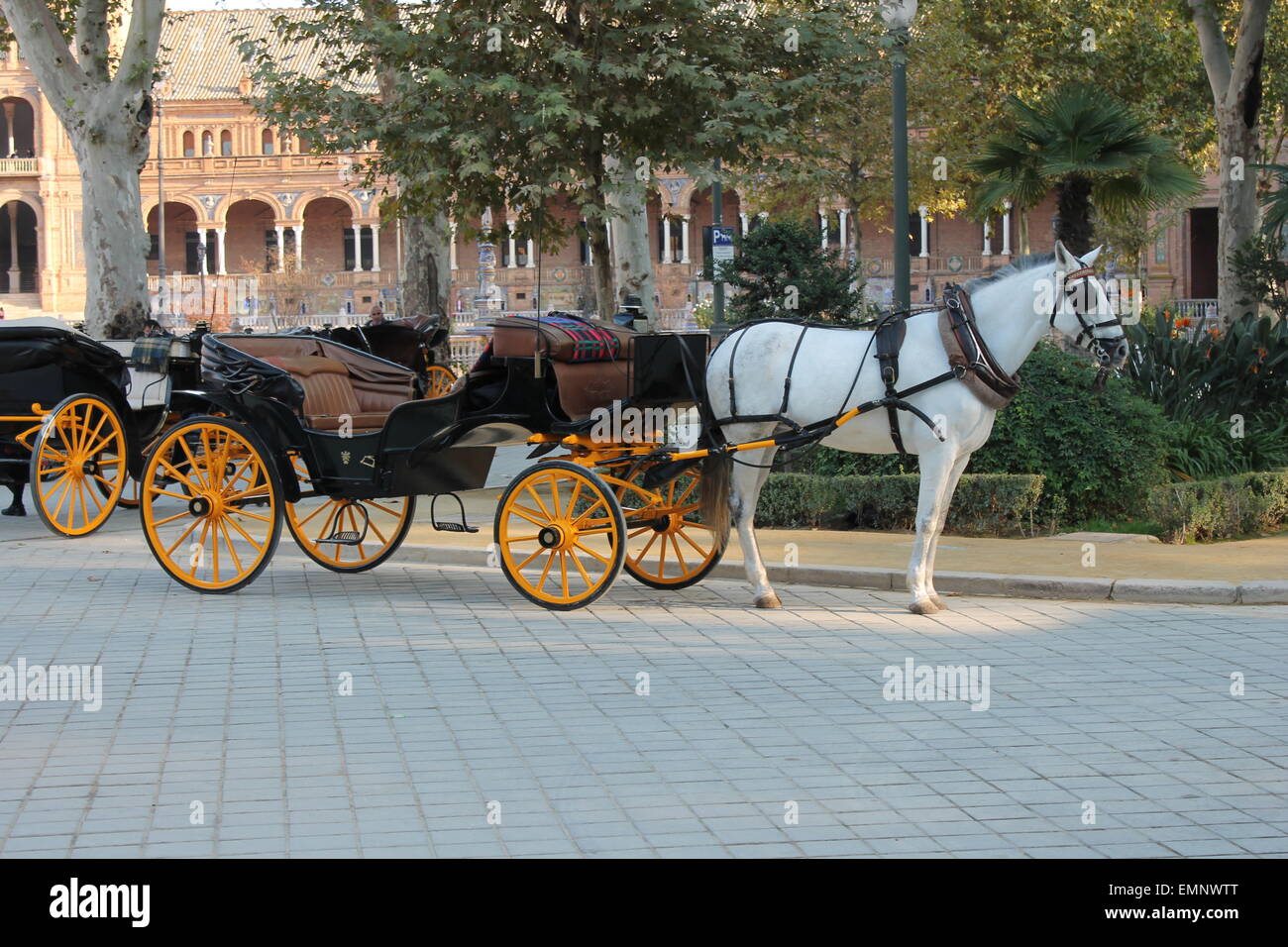 Spanish horse and cart Seville Spain Stock Photo - Alamy