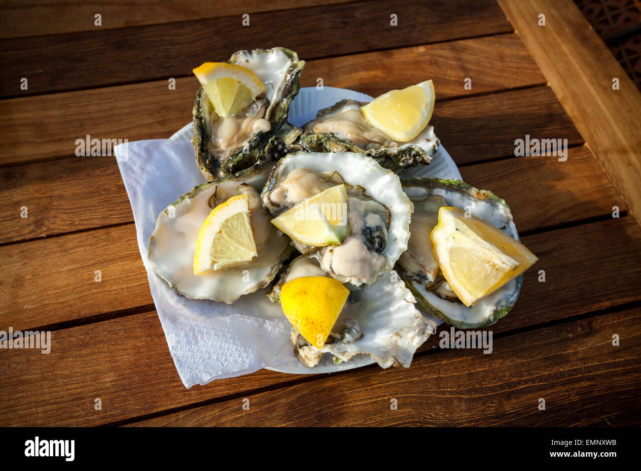 Oysters dozen raw oysters hi-res stock photography and images - Alamy