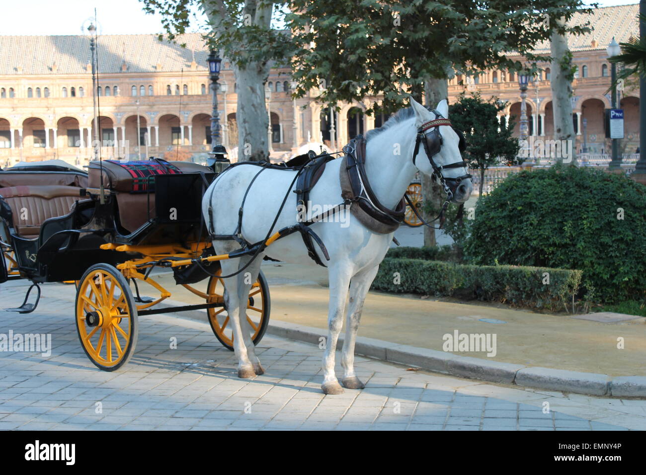 Spanish horse and cart Seville Spain Stock Photo - Alamy