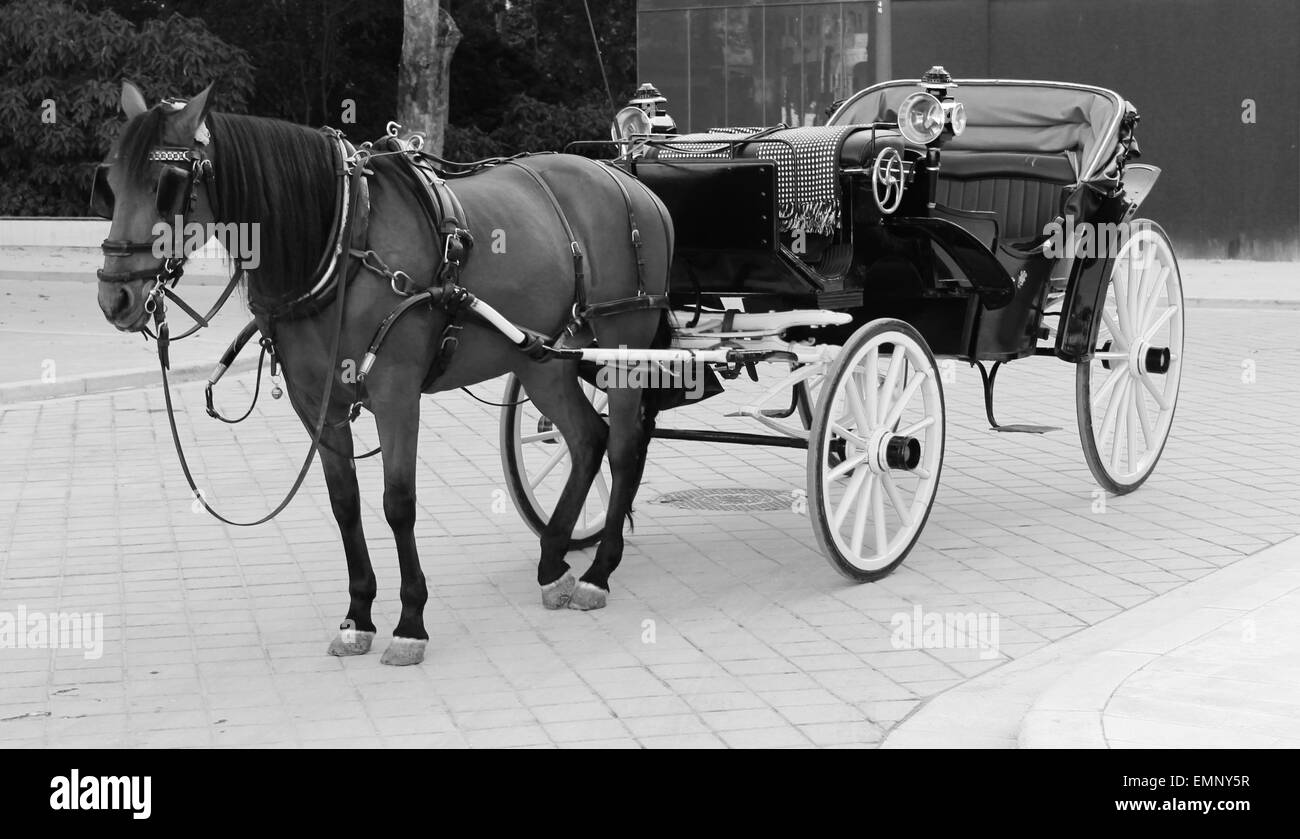 Spanish horse and cart Seville Spain Stock Photo - Alamy