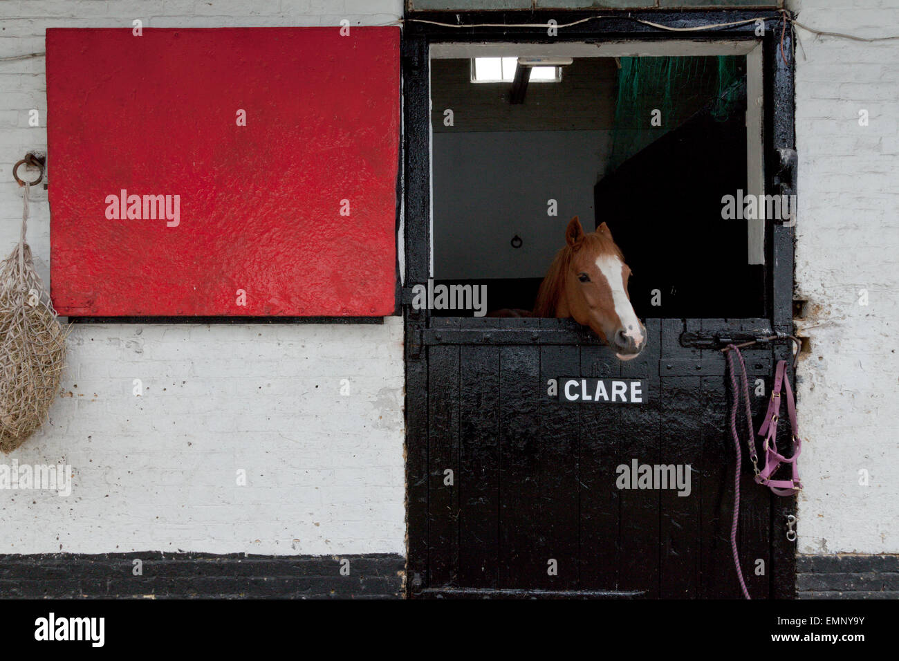 Stable stables stabling hi-res stock photography and images - Alamy