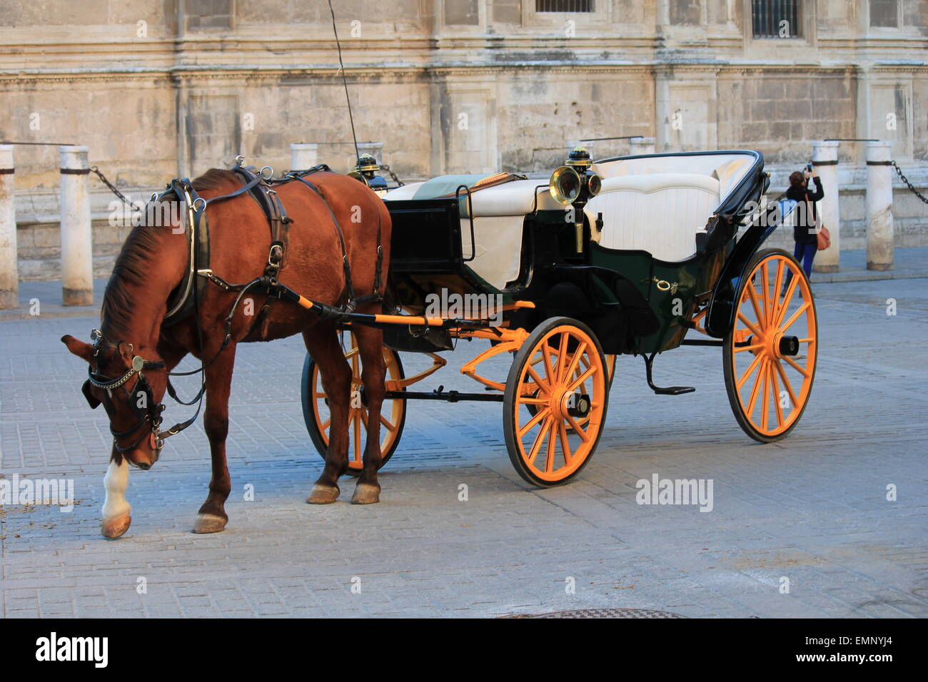 Spanish horse and cart Seville Spain Stock Photo - Alamy