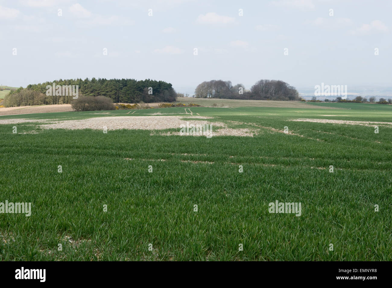 Stony ground hi-res stock photography and images - Alamy