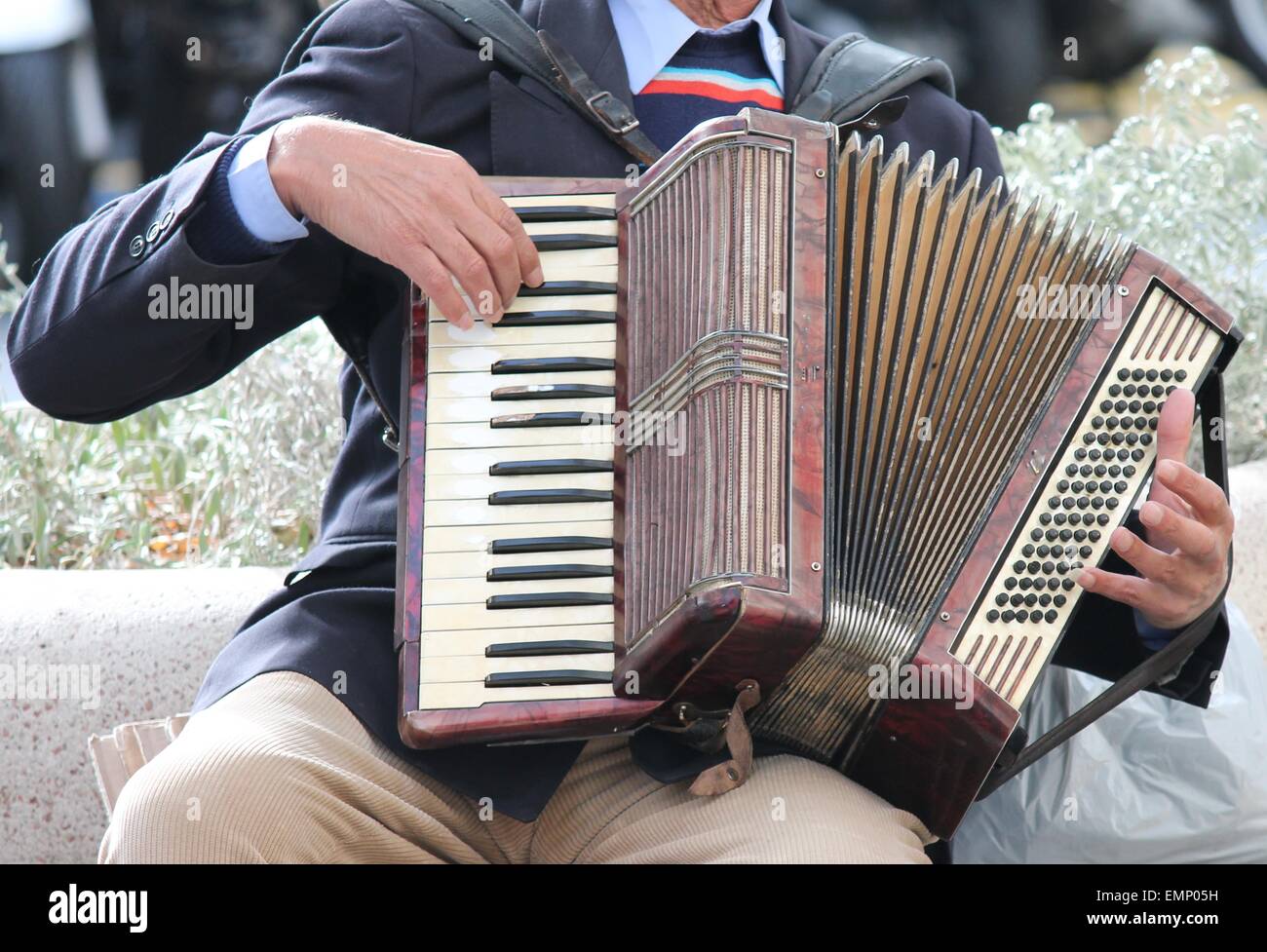 Accordion being played accordionist smartly dressed stock photo ...