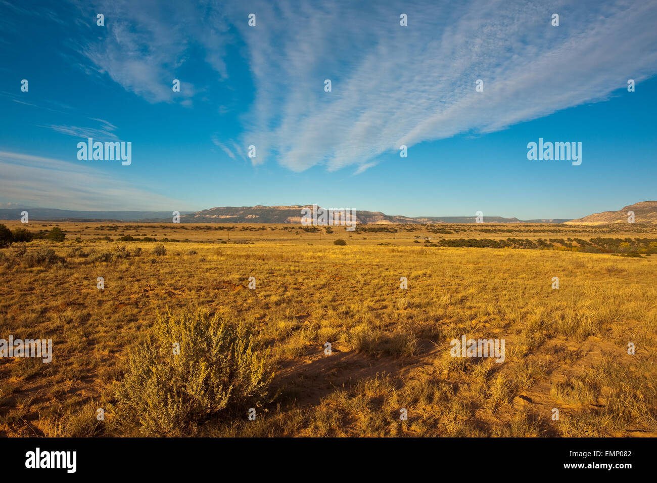 vast, open, desert landscape, mesa in background is focal point with ...