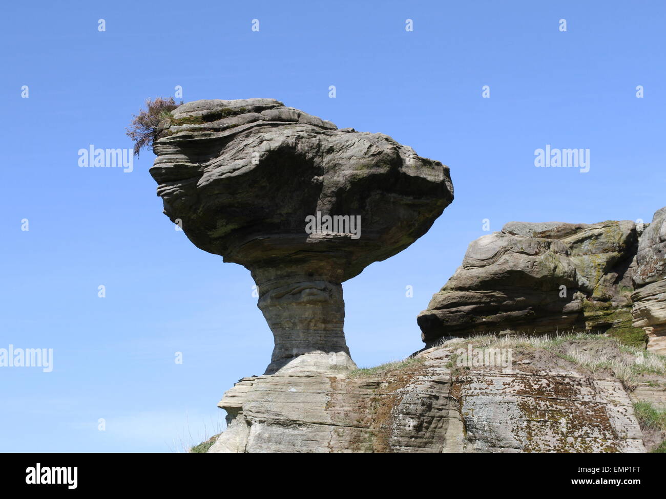 The Bunnet stone eroded sandstone Fife Scotland April 2015 Stock Photo ...