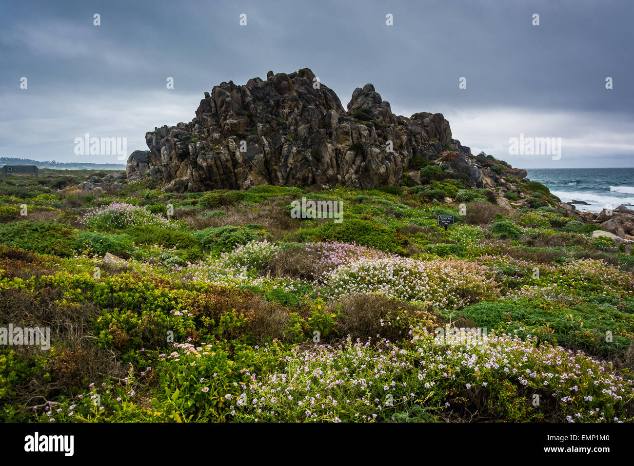 China Rock, seen from the 17 Mile Drive, in Pebble Beach, California ...
