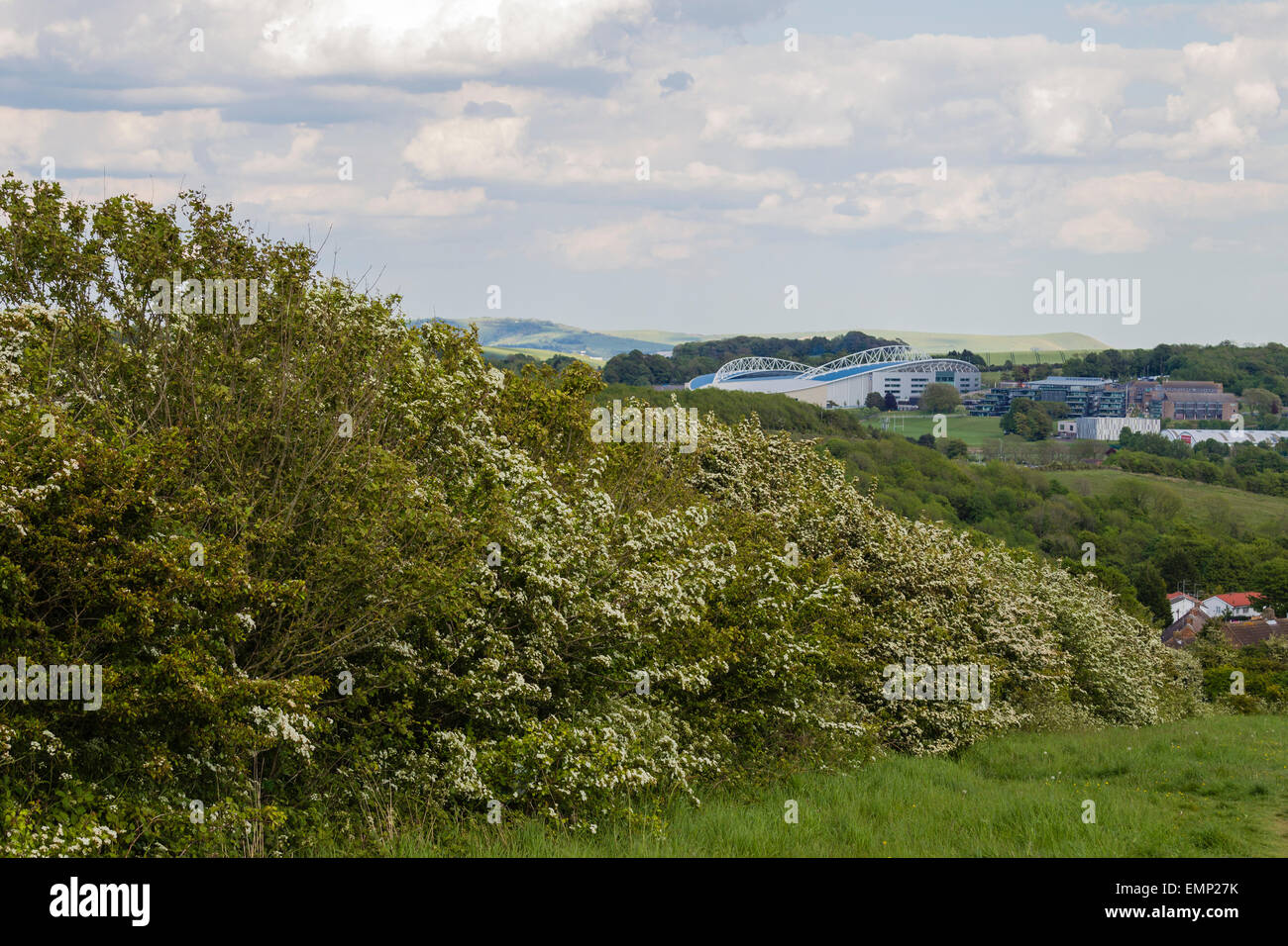 The Amex Stadium is Brighton and Hove Albion Football Club's ground ...