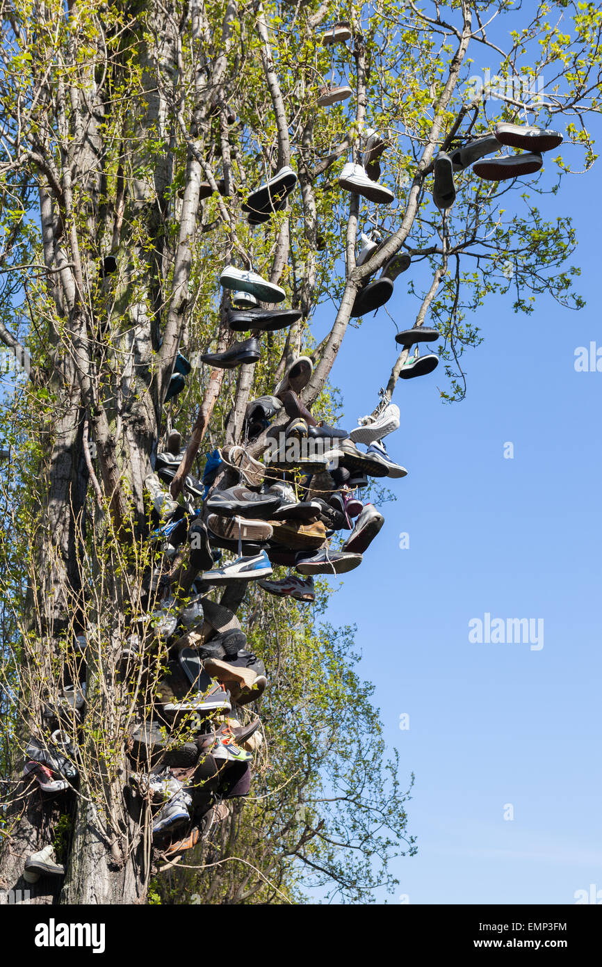 Shoreditch Shoe Tree, Hackney, London Stock Photo - Alamy