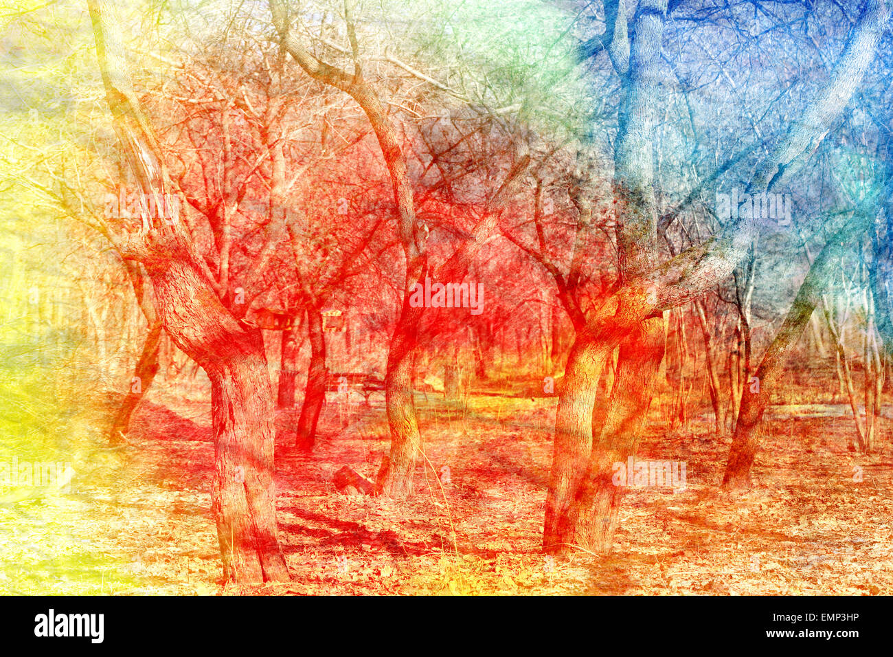Beautiful watercolor colorful retro trees in spring Stock Photo - Alamy