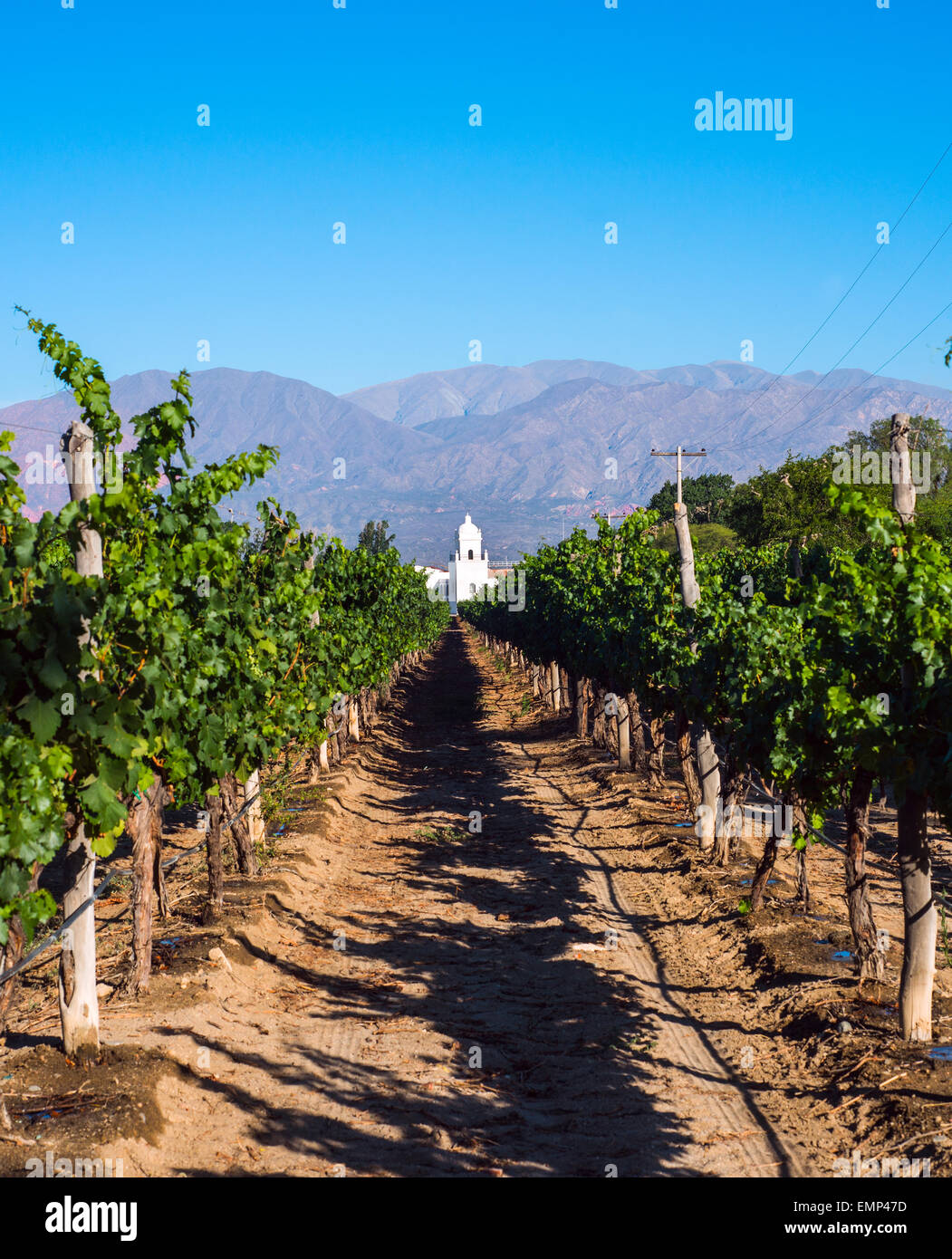 Cafayate bodega hi-res stock photography and images - Alamy