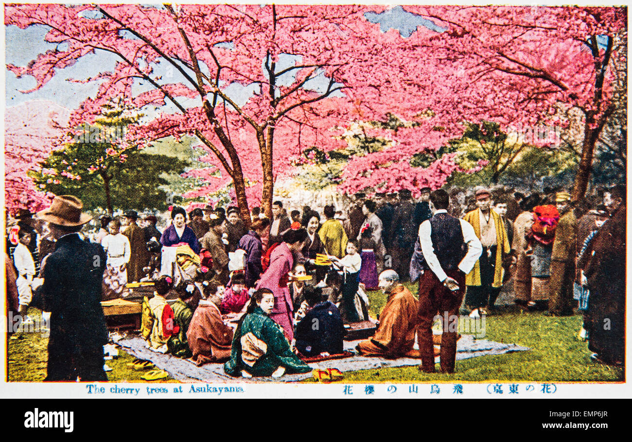 Cherry blossom viewing,Asukayama,Tokyo,Japan. From Taisho period to ...