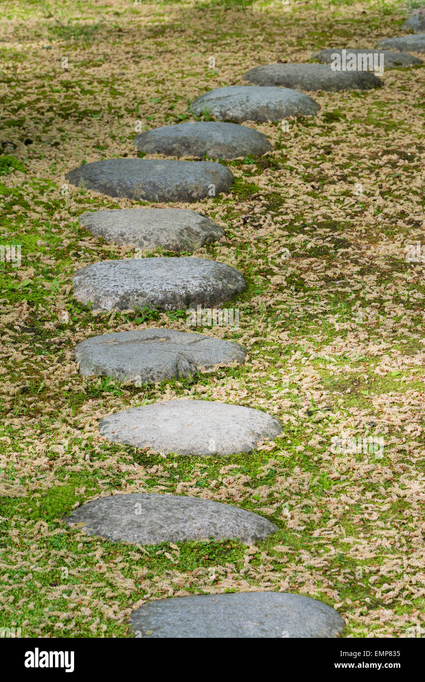Stepping on grass hi-res stock photography and images - Alamy
