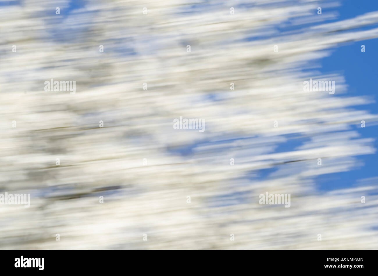nature defocused motion blur background Stock Photo - Alamy