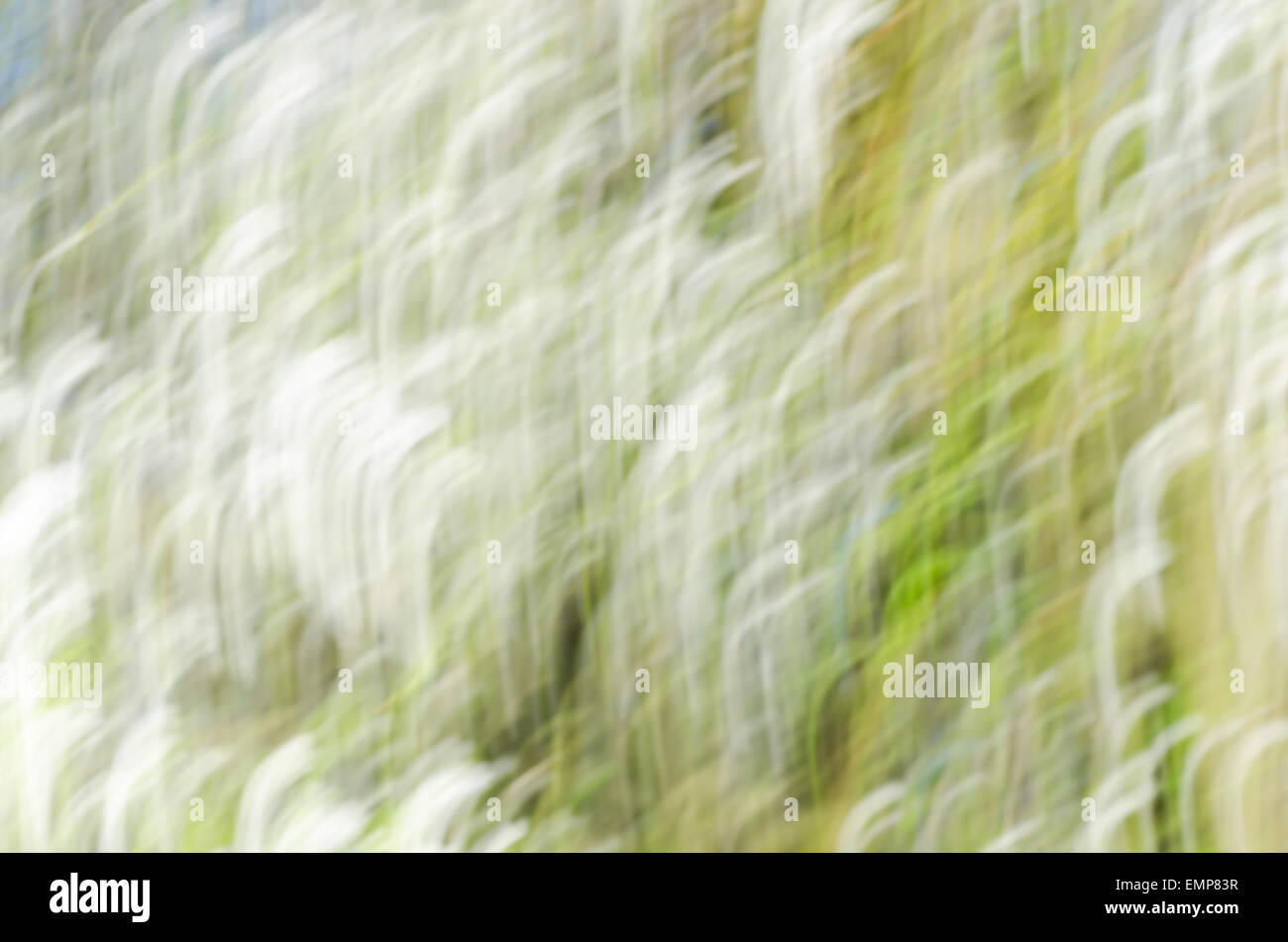 nature defocused motion blur background Stock Photo - Alamy