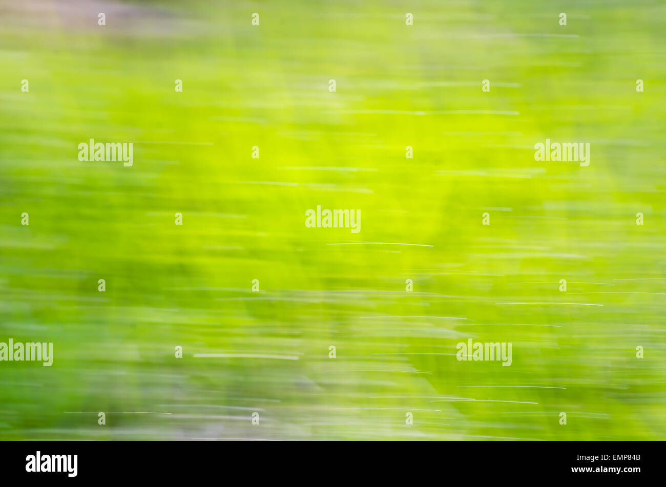 nature defocused motion blur green background Stock Photo - Alamy