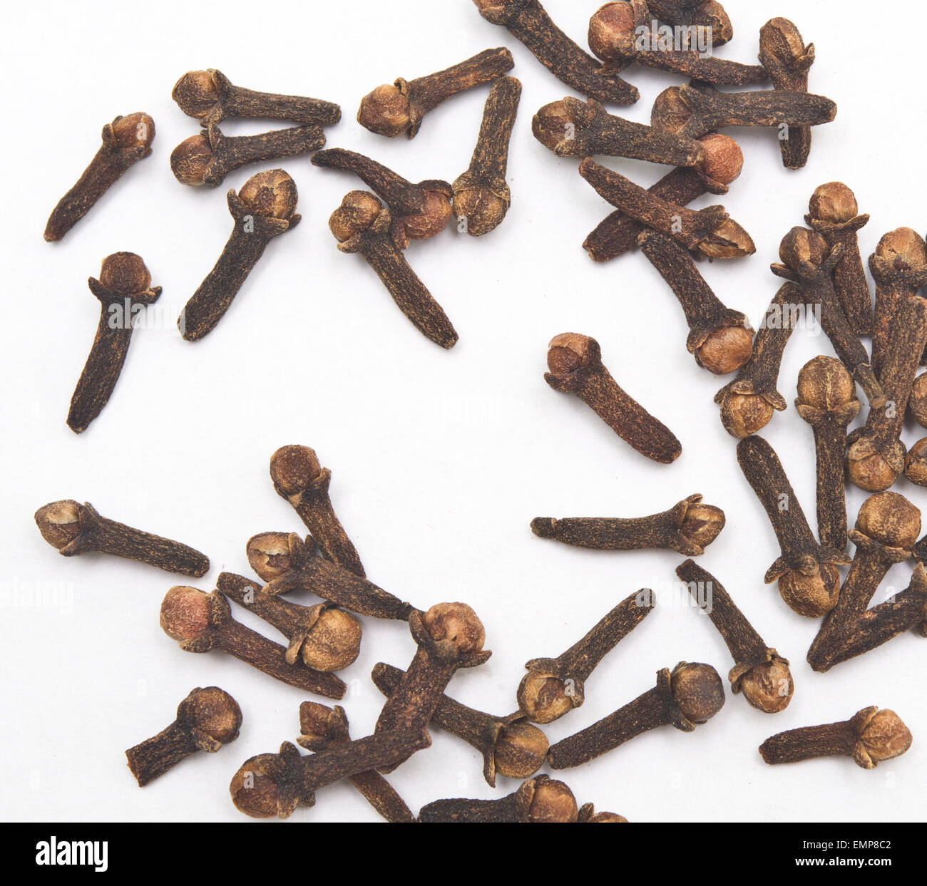 cloves on white background Stock Photo - Alamy