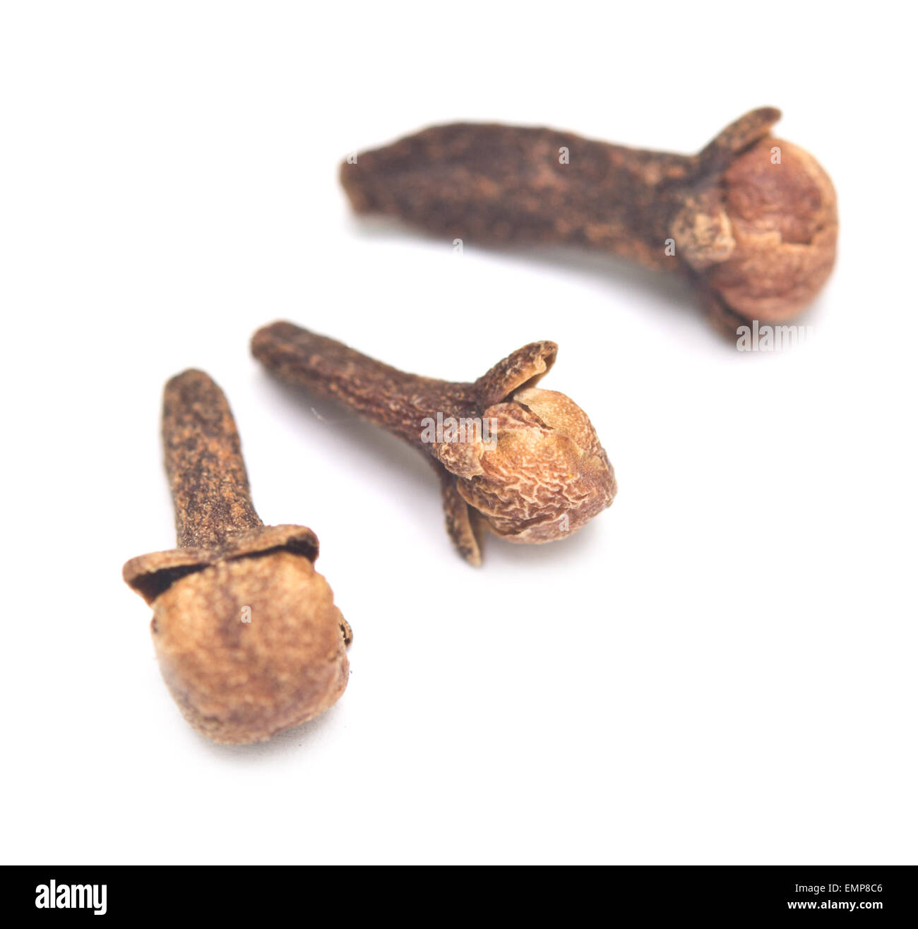 cloves isolated on white background Stock Photo - Alamy