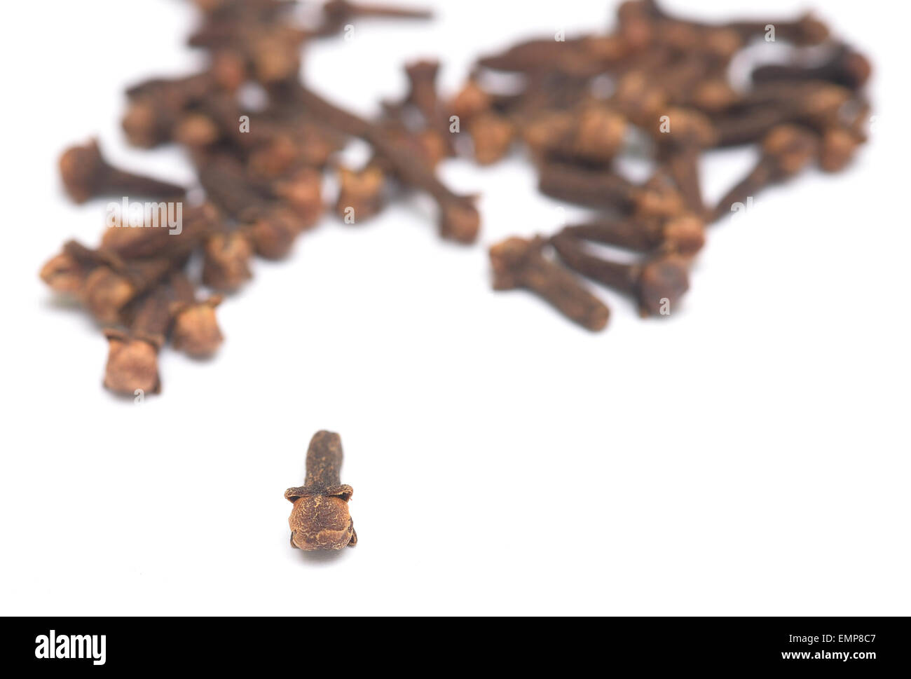 cloves isolated on white background Stock Photo - Alamy