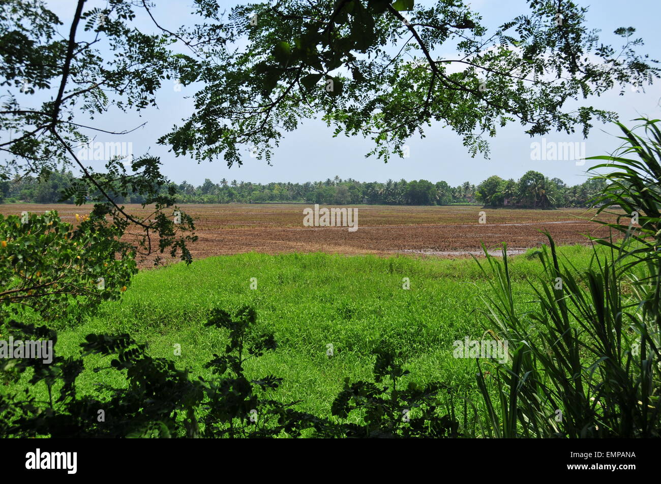 Agriculture a hi-res stock photography and images - Alamy