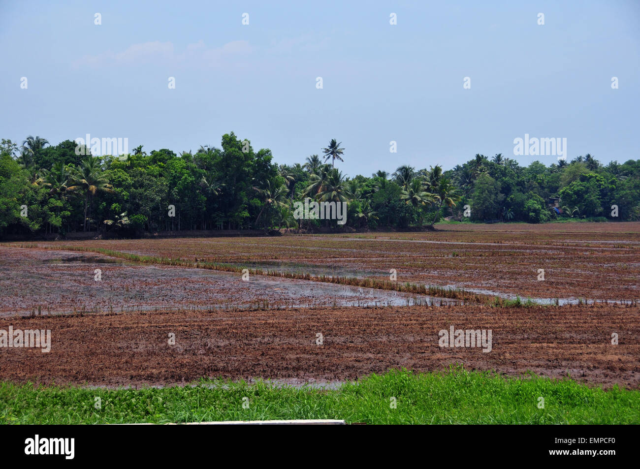 The land is ready for agriculture Stock Photo - Alamy