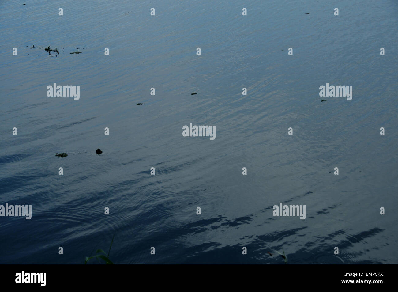 Different kinds of water waves with details Stock Photo - Alamy