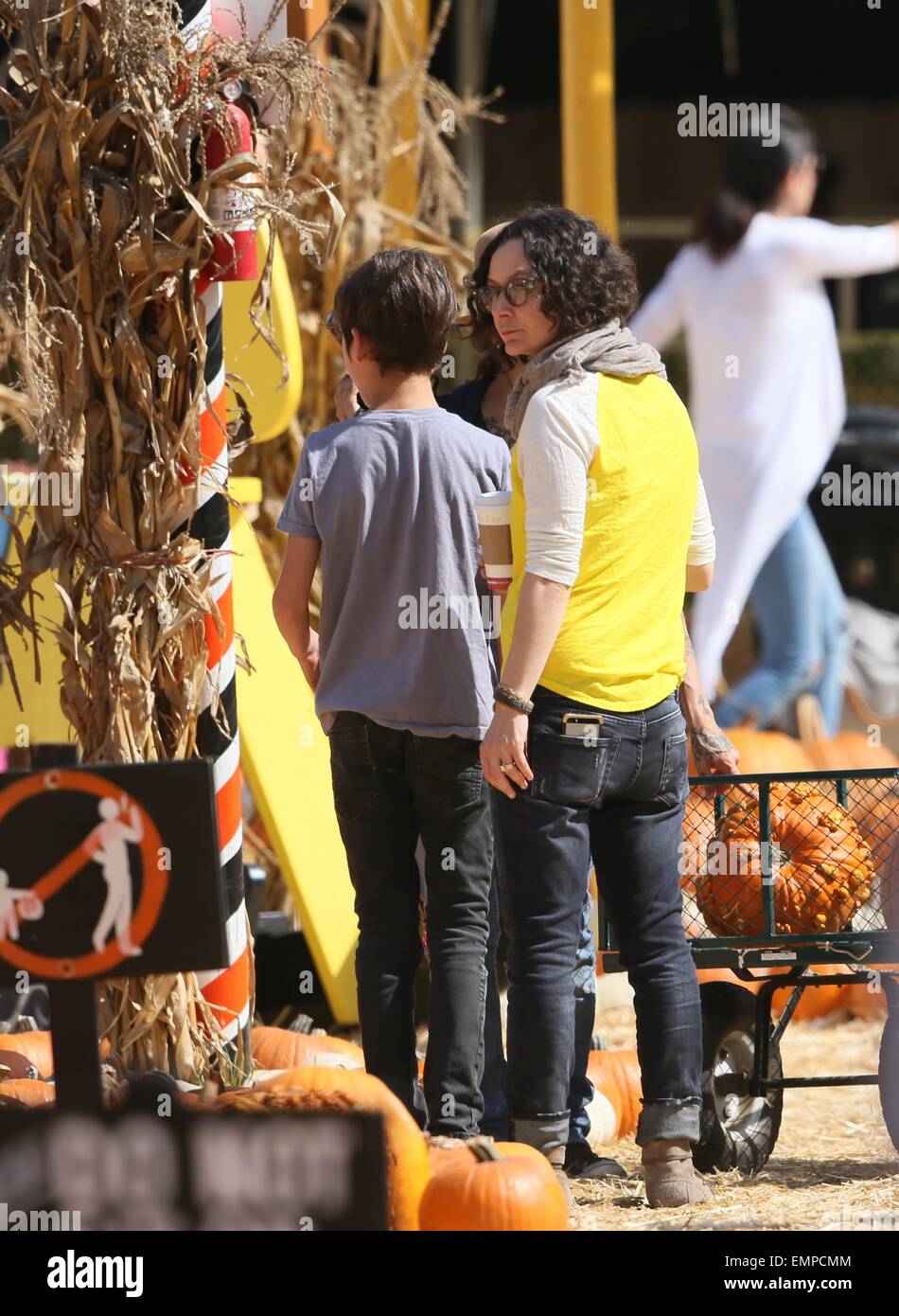 Pregnant Sara Gilbert and partner Linda Perry spend time as a family at ...