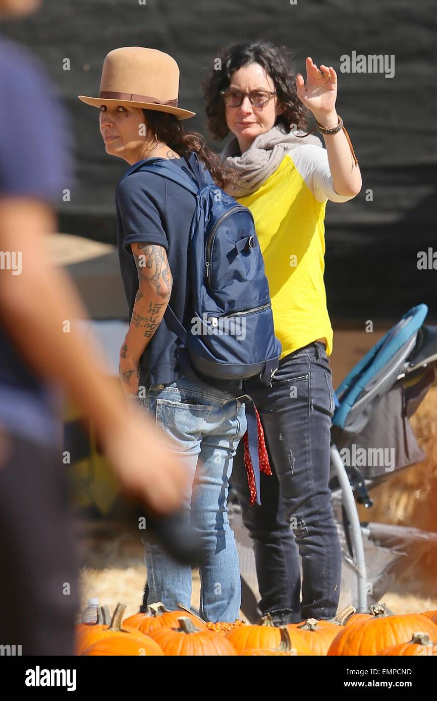 Pregnant sara gilbert partner linda hi-res stock photography and images ...