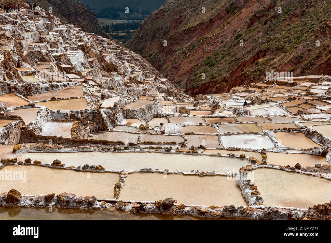 Salt mines of Maras, Sacred Valley of the Incas, Urubamba, Peru Stock ...
