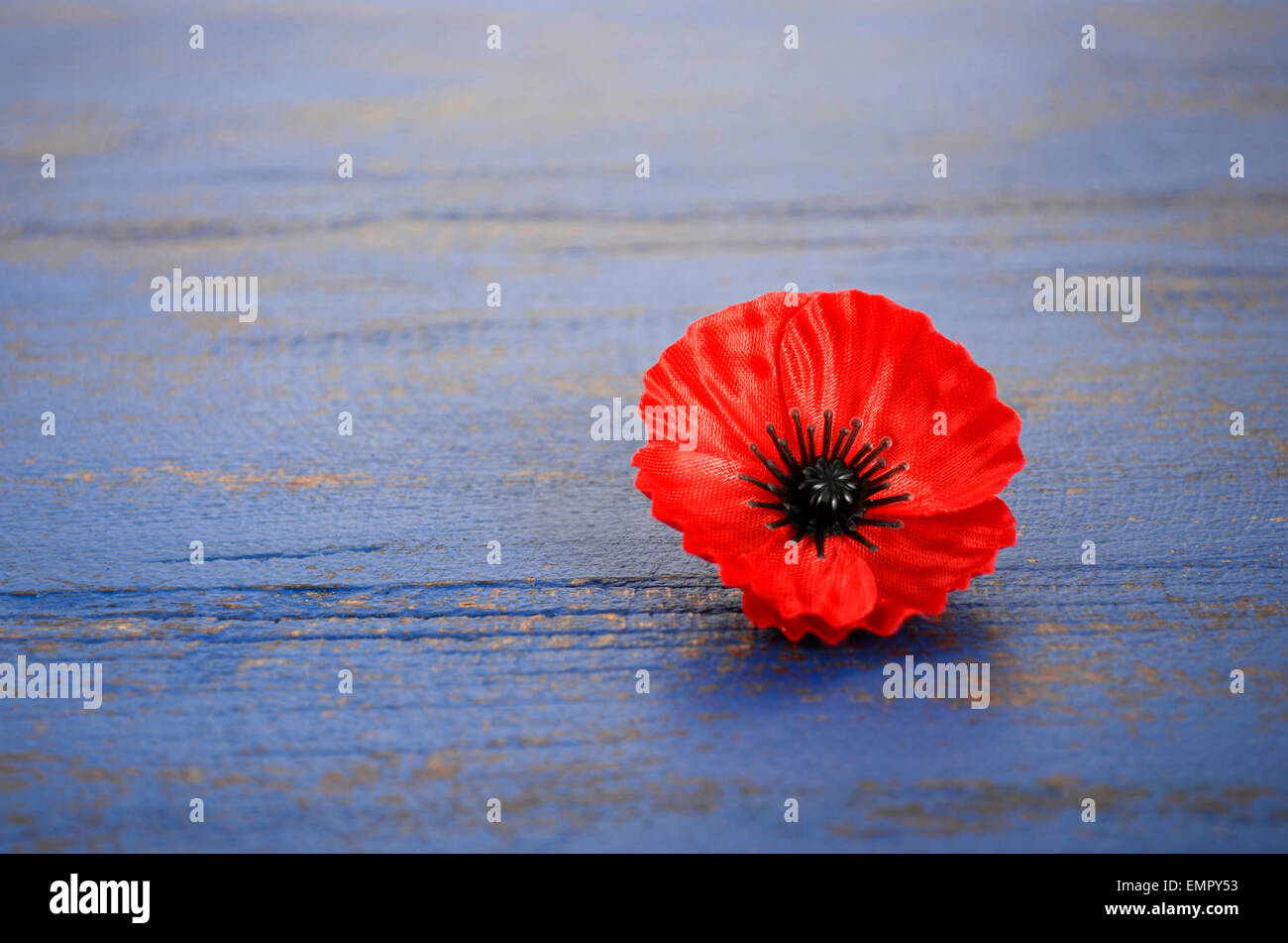 Poppy united states memorial hi-res stock photography and images - Alamy